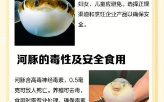 河豚煮多久才无毒_河豚毒素高温多久分解