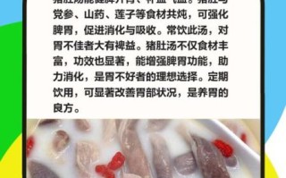 何香猪肚汤的做法_陈允斌配方详解