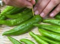 韩国泡辣椒菜怎么做_正宗做法详解