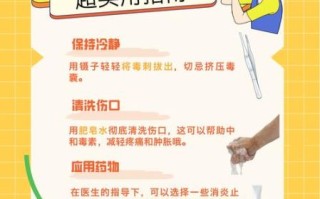 马蜂窝怎么处理掉_被马蜂蜇了怎么办