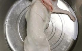 红烧兔肉怎么做_红烧兔肉的家常做法