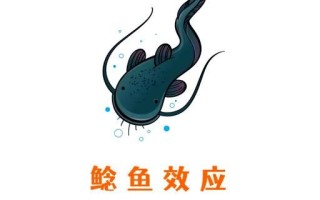 鲶鱼效应是什么意思_如何运用鲶鱼效应管理团队