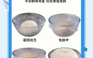 酵母粉怎么用_酵母粉失效了还能用吗