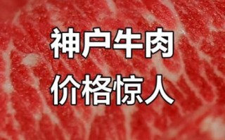 神户牛肉多少钱一斤_神户牛肉怎么辨别真假