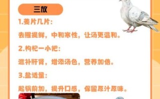 鸽子汤怎么炖好喝_鸽子汤去腥增香的窍门