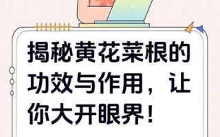 黄花菜根煮汤的功效_黄花菜根煮汤的做法