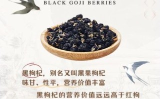 黑枸杞的营养价值_黑枸杞怎么吃效果最好