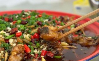 红烧鲢鱼怎么做_红烧鲢鱼最正宗的做法