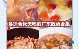 广东滋阴降火汤怎么做_广东降火汤适合哪些人