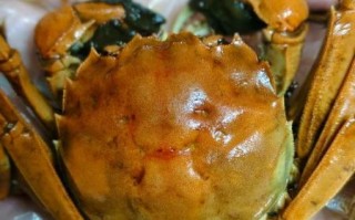 醉蟹是生的还是熟的_醉蟹要不要煮熟再吃