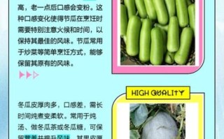 节瓜怎么种_节瓜和冬瓜的区别
