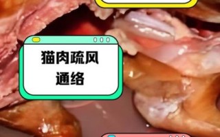 猫肉可以吃吗_猫肉合法吗