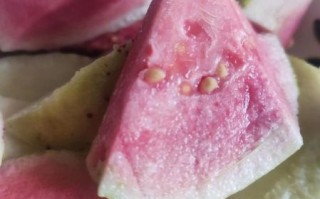 西瓜芭乐的功效与作用_西瓜芭乐能减肥吗