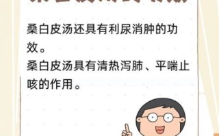 桑白皮汤的功效与作用_桑白皮汤怎么喝