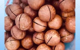 夏威夷果一天吃几个_吃多了会胖吗