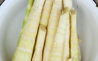 鲜竹笋焯水后要泡多久_竹笋焯水后泡冷水多久