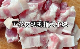 红烧肉怎么做好吃_家常红烧肉做法步骤