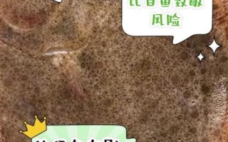 比目鱼的营养价值_孕妇能吃比目鱼吗