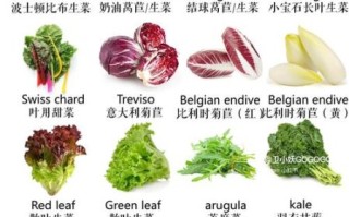 常见蔬菜有哪些_蔬菜名称大全