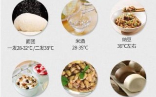 酸奶机做酒酿的方法_酒酿发酵温度是多少