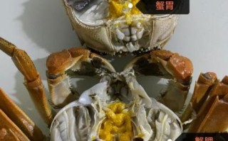 海螃蟹怎么吃图解_海螃蟹哪些部位不能吃