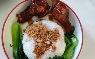 卤鸡腿饭怎么做_卤鸡腿饭用什么卤汁
