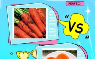 胡萝卜生吃还是熟吃_哪个更营养