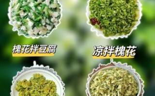洋槐花怎么吃_洋槐花可以蒸着吃吗