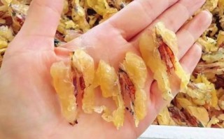 女人吃林蛙油最佳时间_林蛙油什么时候吃效果最好