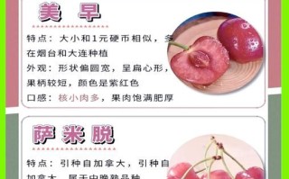 车厘子和樱桃的区别_哪个更甜更好吃