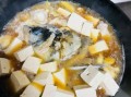 鲢鱼炖豆腐怎么做好吃_鲢鱼炖豆腐的窍门