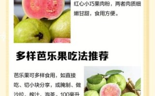 芭乐果的功效与作用_芭乐果怎么吃减肥