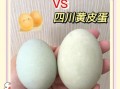 黄皮蛋和黑皮蛋哪个含铅高_皮蛋含铅量对比