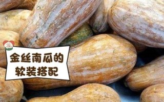 金丝南瓜降血糖吗_金丝南瓜怎么吃最营养
