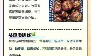 荸荠的功效与禁忌_什么人不能吃