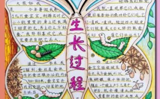 蚕的生长过程视频_蚕宝宝几天能结茧