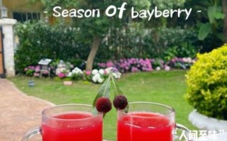 杨梅汁怎么做_杨梅汁视频教程