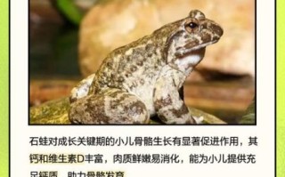 野生石蛙吃了有什么好处_野生石蛙营养价值