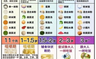 6个月婴儿辅食食谱表_如何科学添加