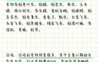 田鸡是不是青蛙_田鸡和青蛙的区别