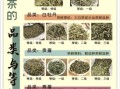 福鼎白茶功效与作用_福鼎白茶适合什么人喝