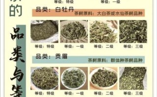 福鼎白茶功效与作用_福鼎白茶适合什么人喝