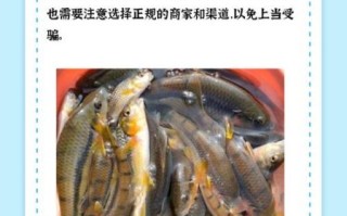 桂鱼多少钱一斤_桂鱼价格为什么波动大