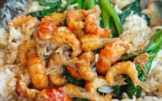 小龙虾吃米饭吗_小龙虾能不能吃米饭