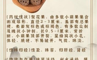 路路通的功效与作用_路路通能治哪些病