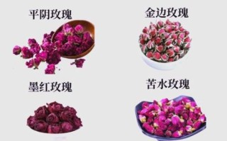 玫瑰花茶一次泡几粒_玫瑰花茶泡法用量