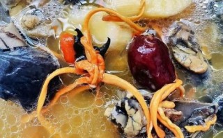 虫草花乌鸡汤的功效与做法_孕妇可以喝吗