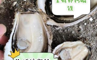 生蚝怎么吃_要去除内脏吗