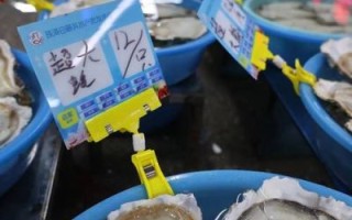 海鲜批发价格表怎么看_今日批发价是多少