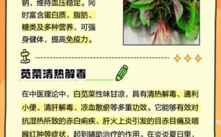 吃苋菜有什么好处和坏处_苋菜吃多了会伤肾吗
